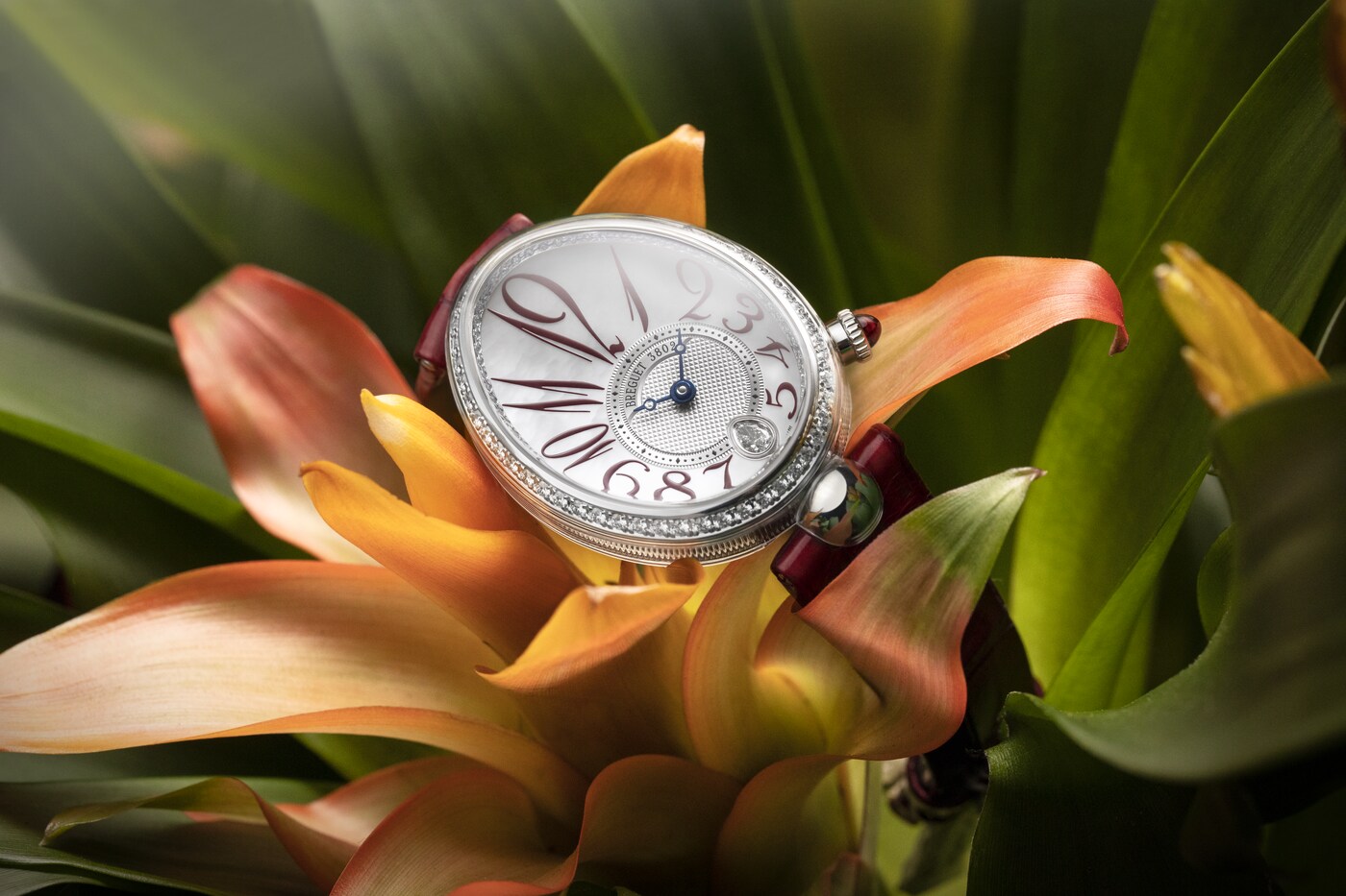 Montres Breguet | Reine de Naples 8918 | 8918BB/5P/964 D00D 3L